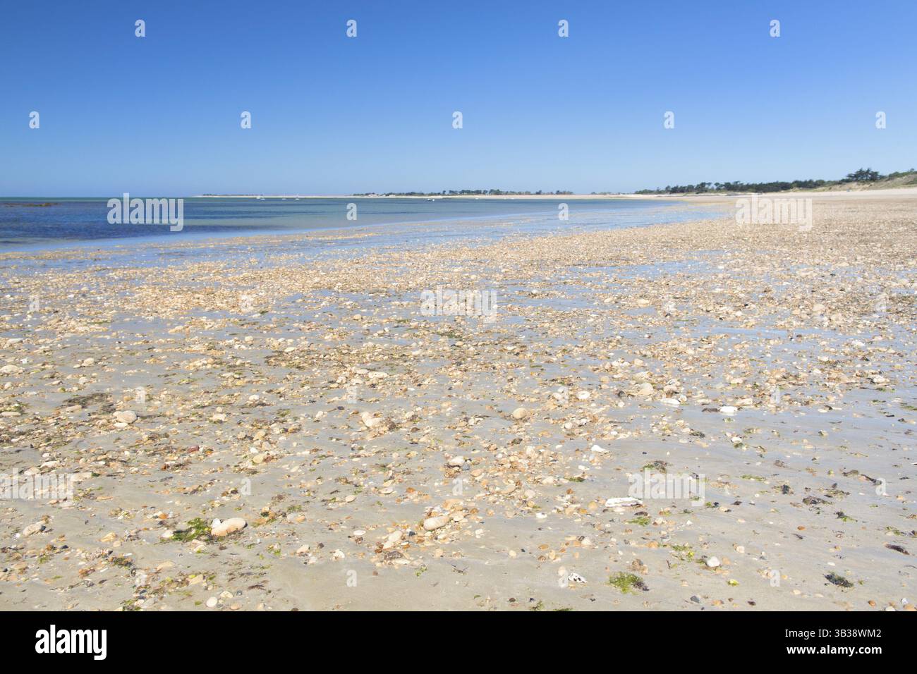 Ile de Re - Beach cart at La Couarde sur mer Stock Photo - Alamy