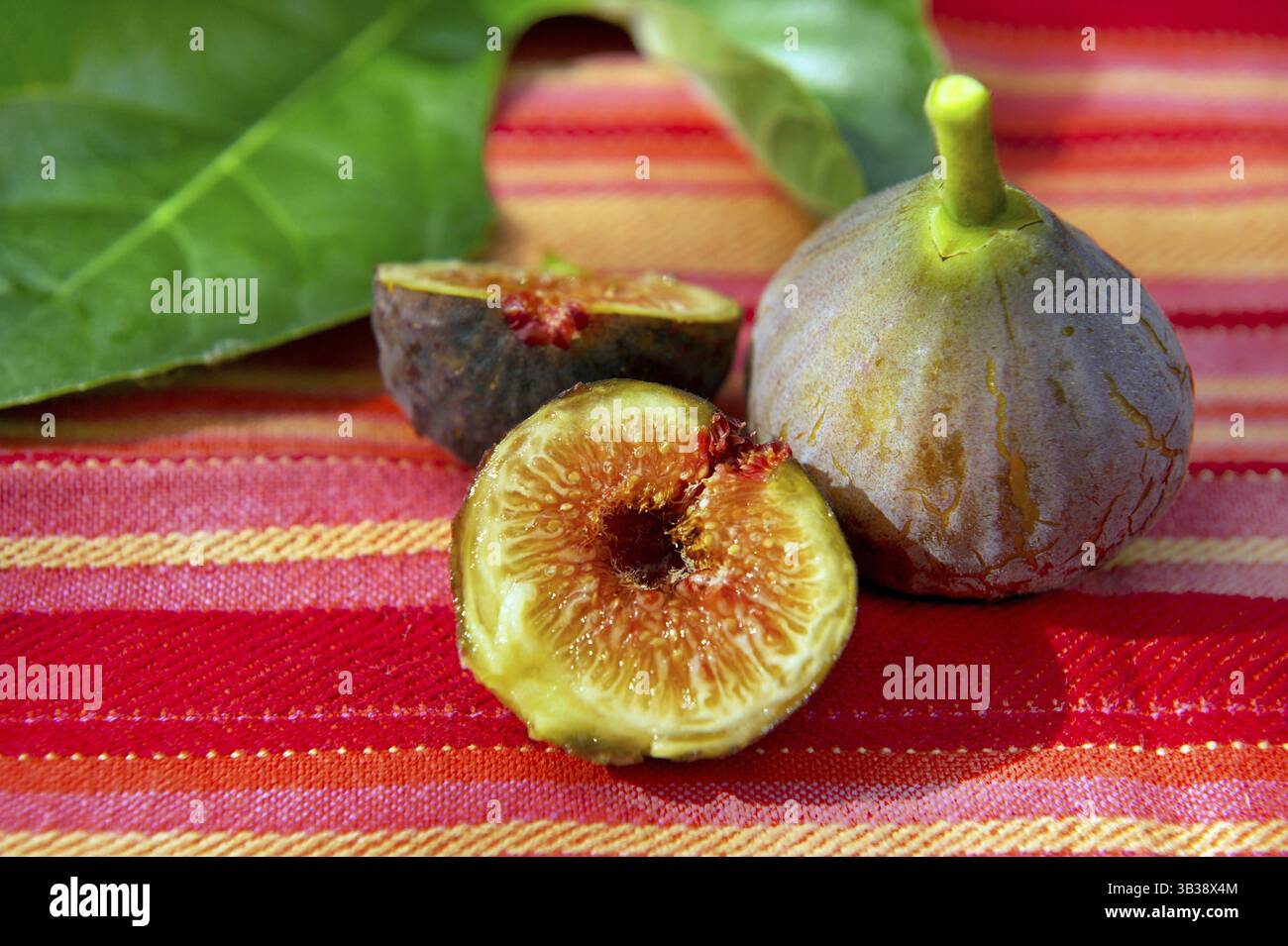 Still life outdoor in the sun with figs Stock Photo - Alamy