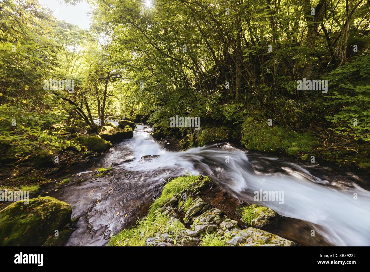 The magnificent Tateshina Otaki Falls on the famous Venus Line road ...