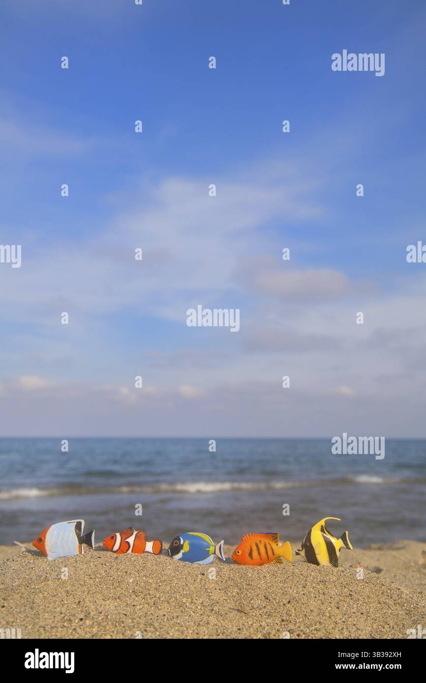 Many tropical fishes at the summer beach Stock Photo - Alamy