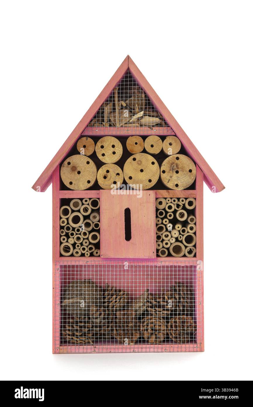 Insect monument Cut Out Stock Images & Pictures - Alamy