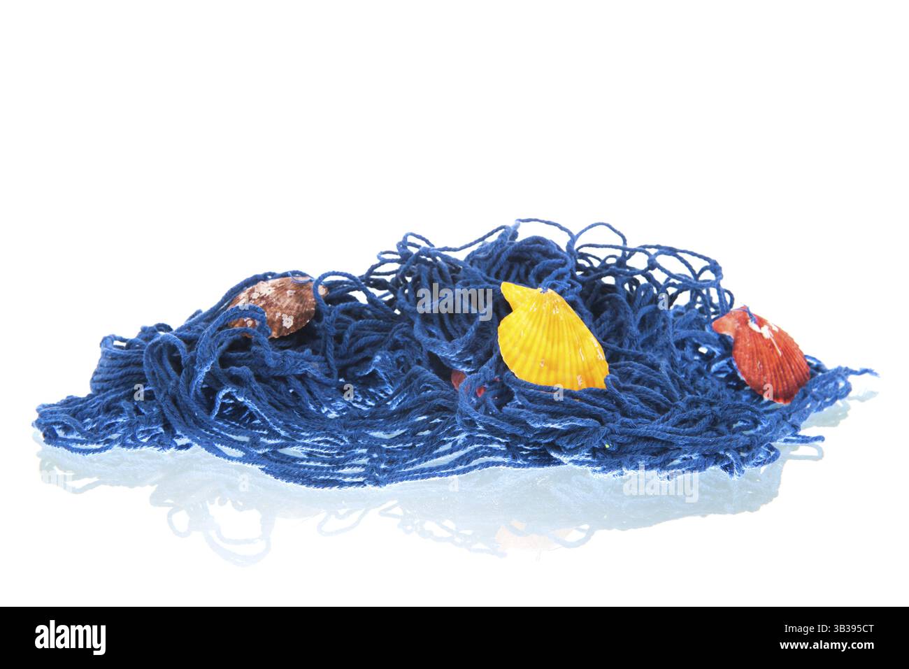 Clam fishing net Cut Out Stock Images & Pictures - Alamy