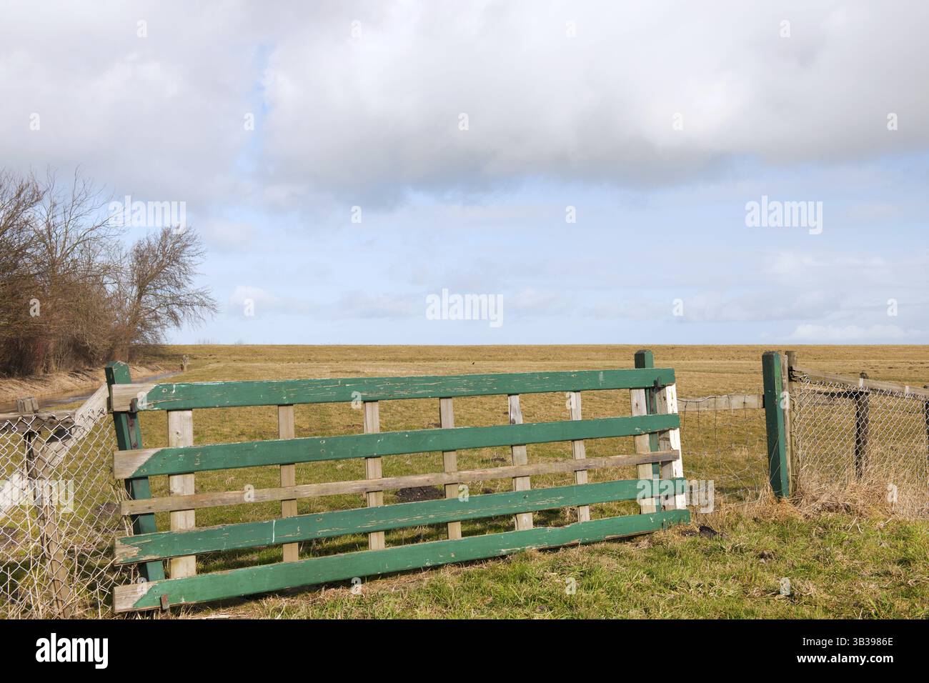 Typical Dutch agricultureal landscape with fence and meadows Stock ...