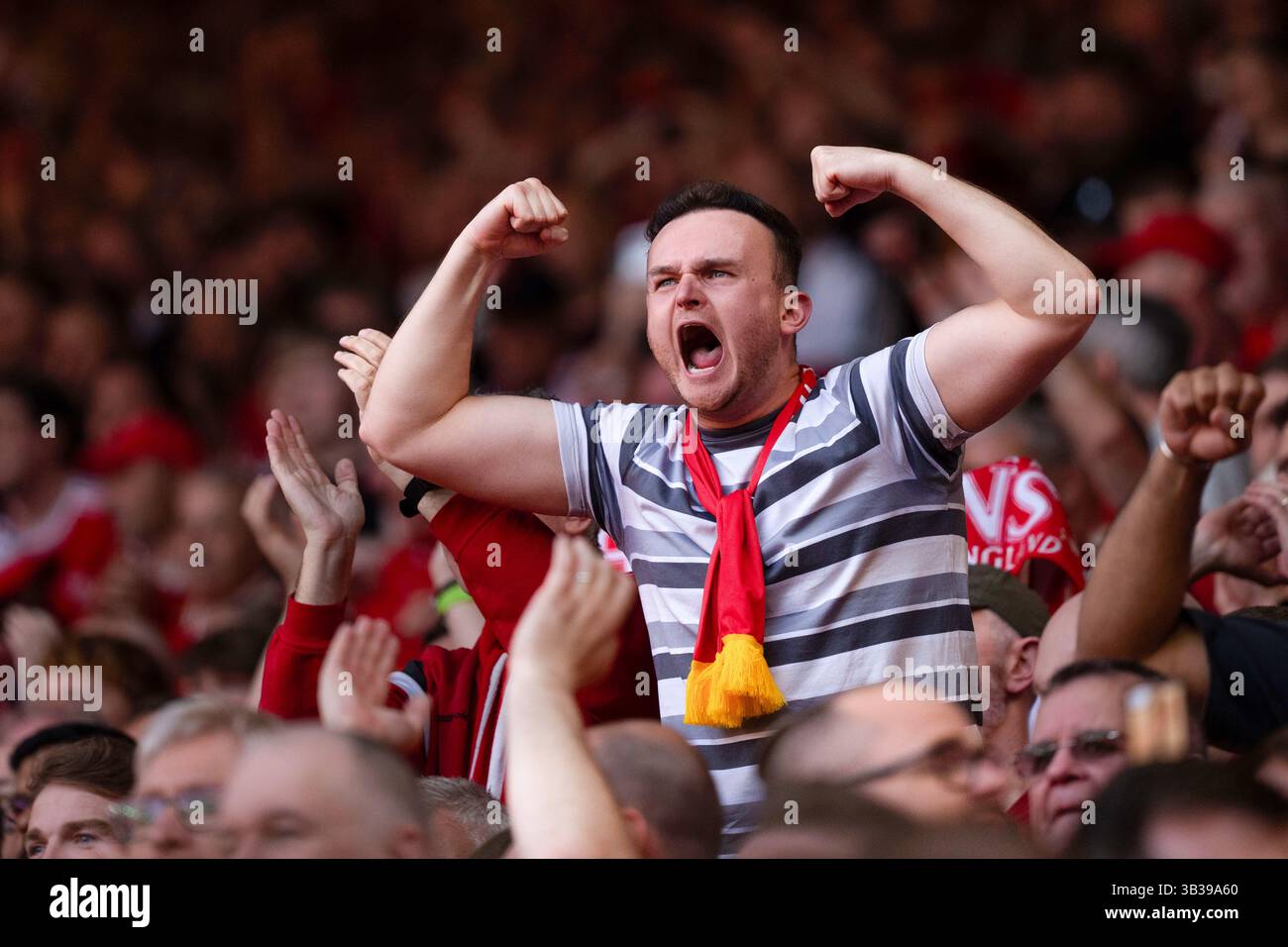A Liverpool fan is seen celebrating during the Premier League match ...