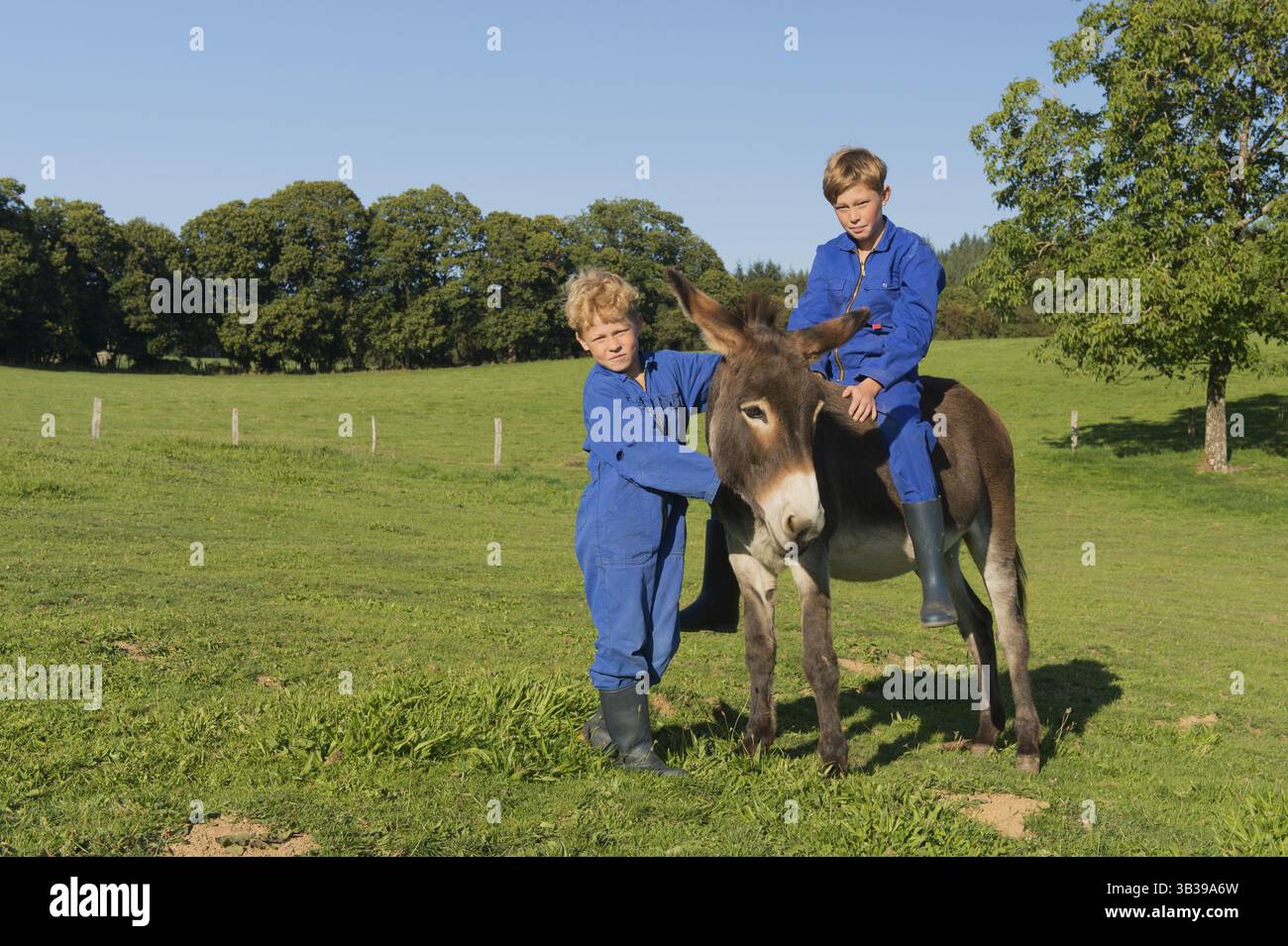 Farm boys riding on their donkey Stock Photo - Alamy