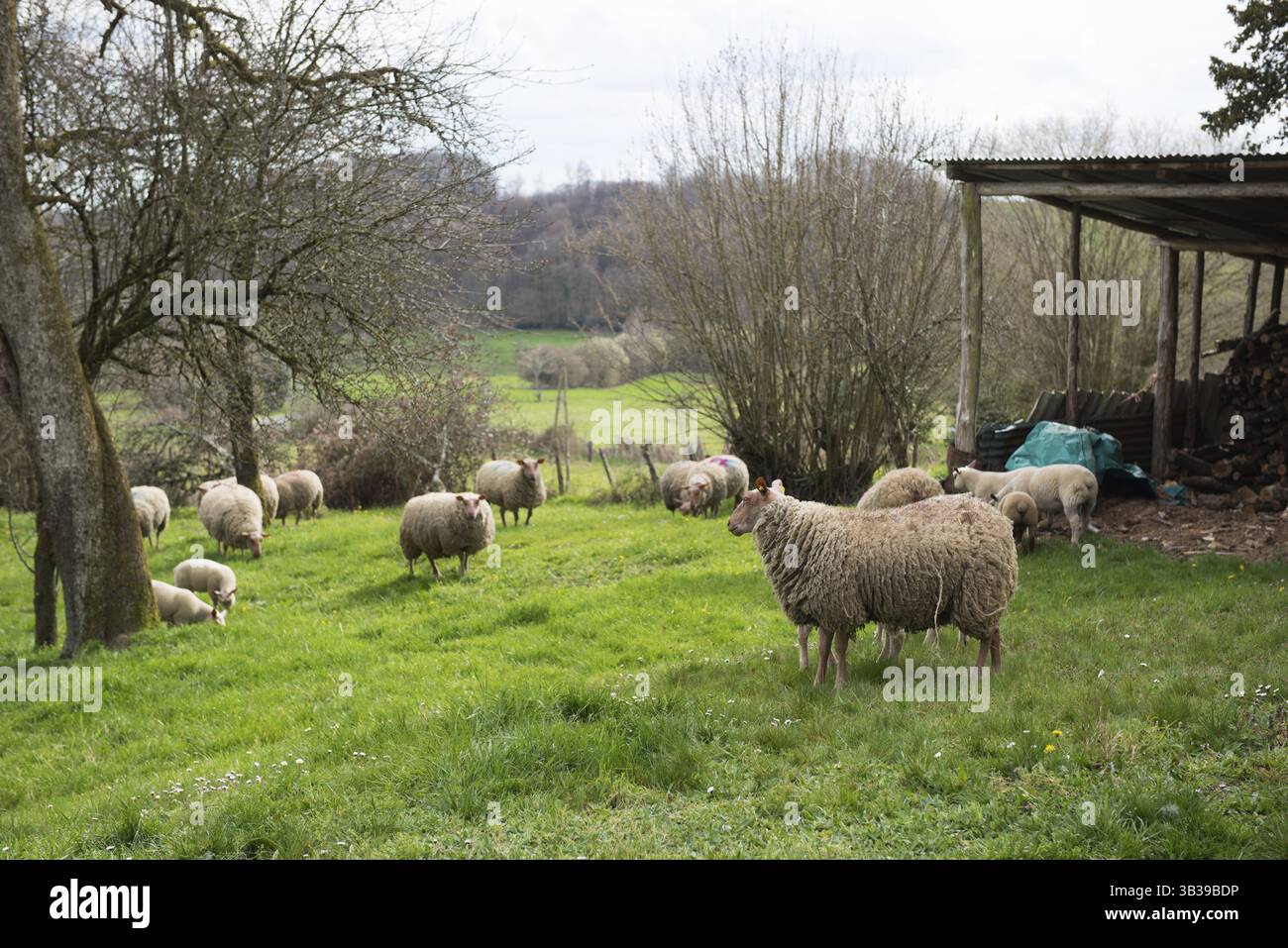 Captured french village hi-res stock photography and images - Alamy