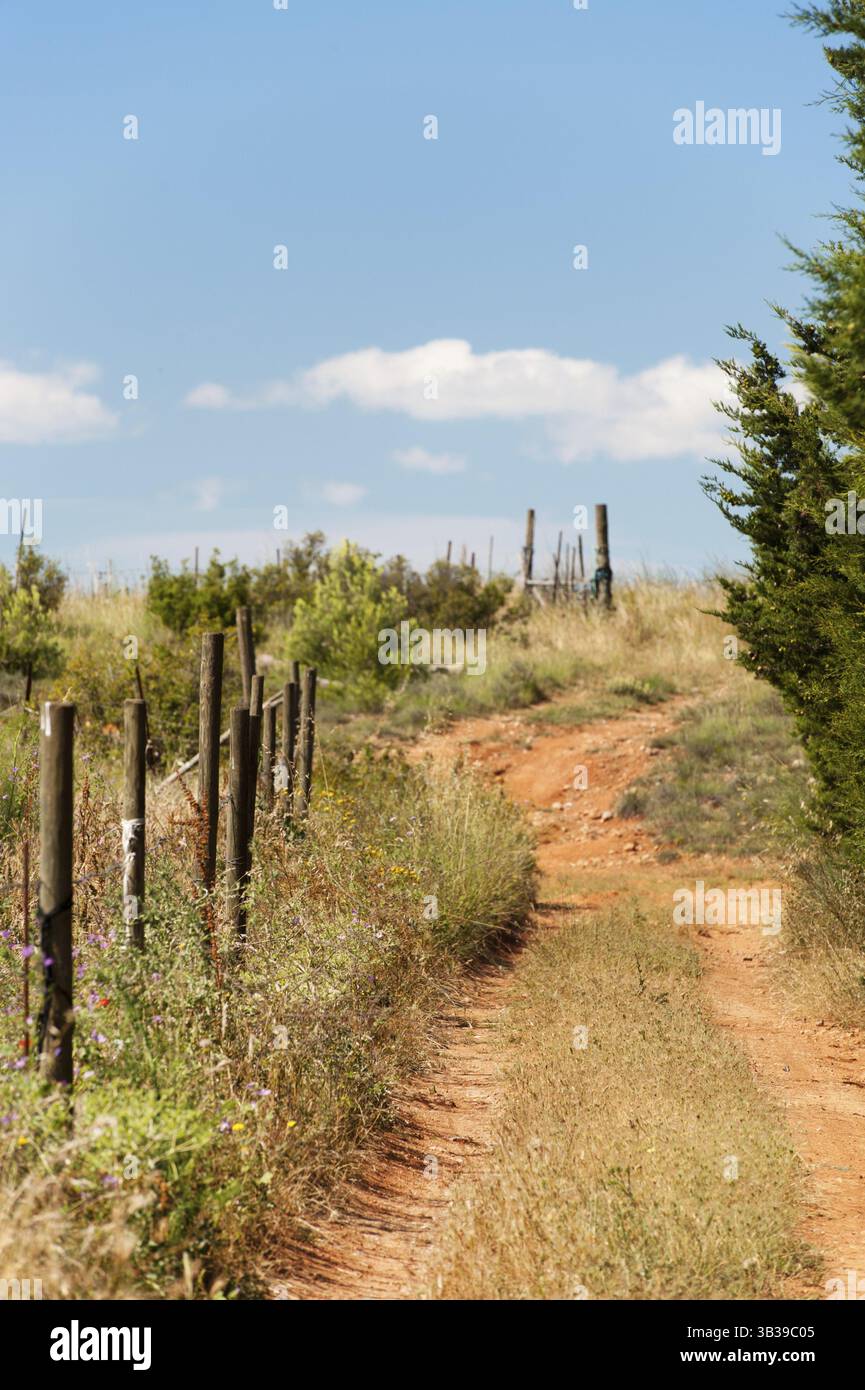 Sand path with fence on the hill Stock Photo - Alamy