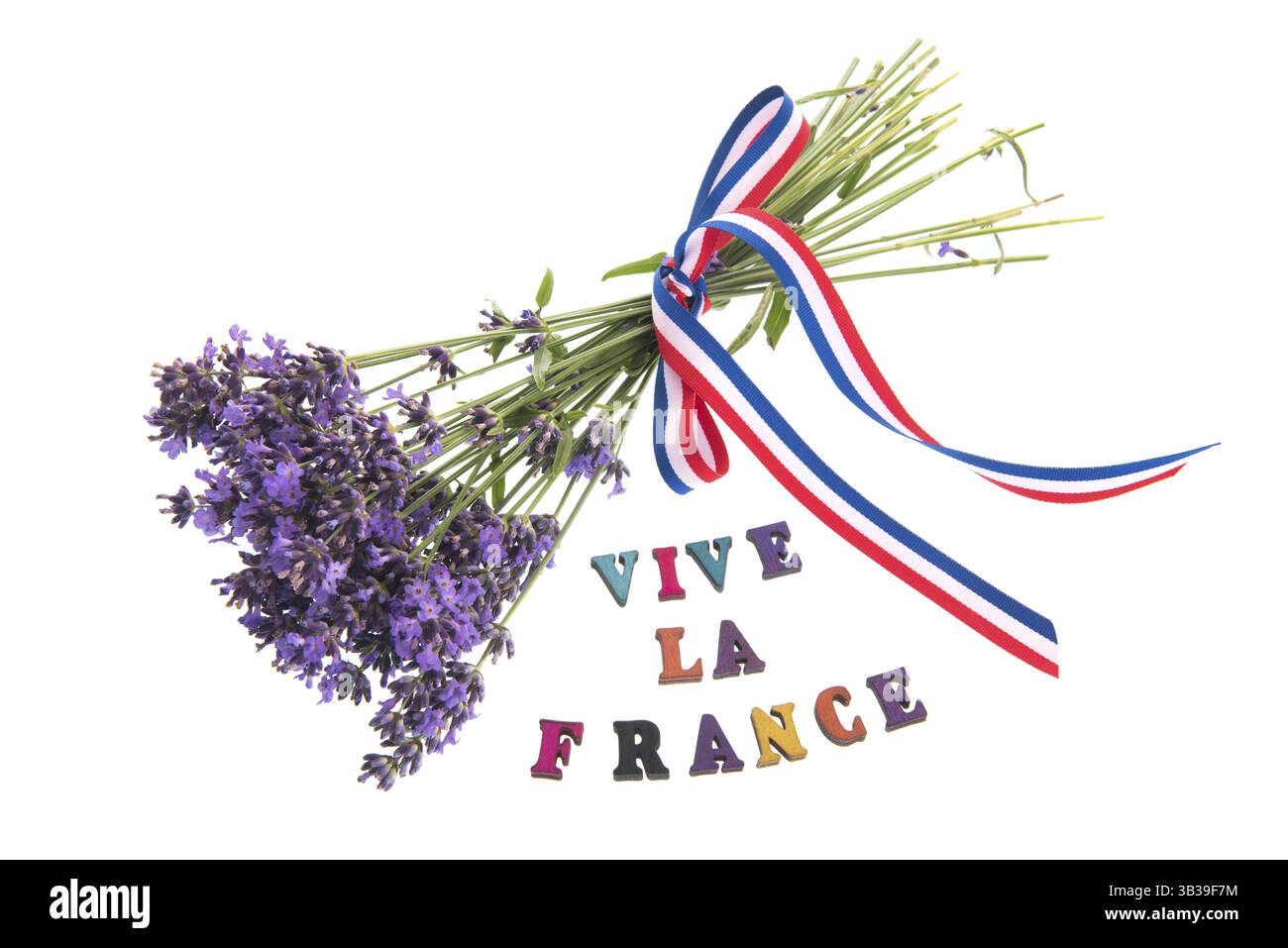 Characteristic flower Cut Out Stock Images & Pictures - Alamy