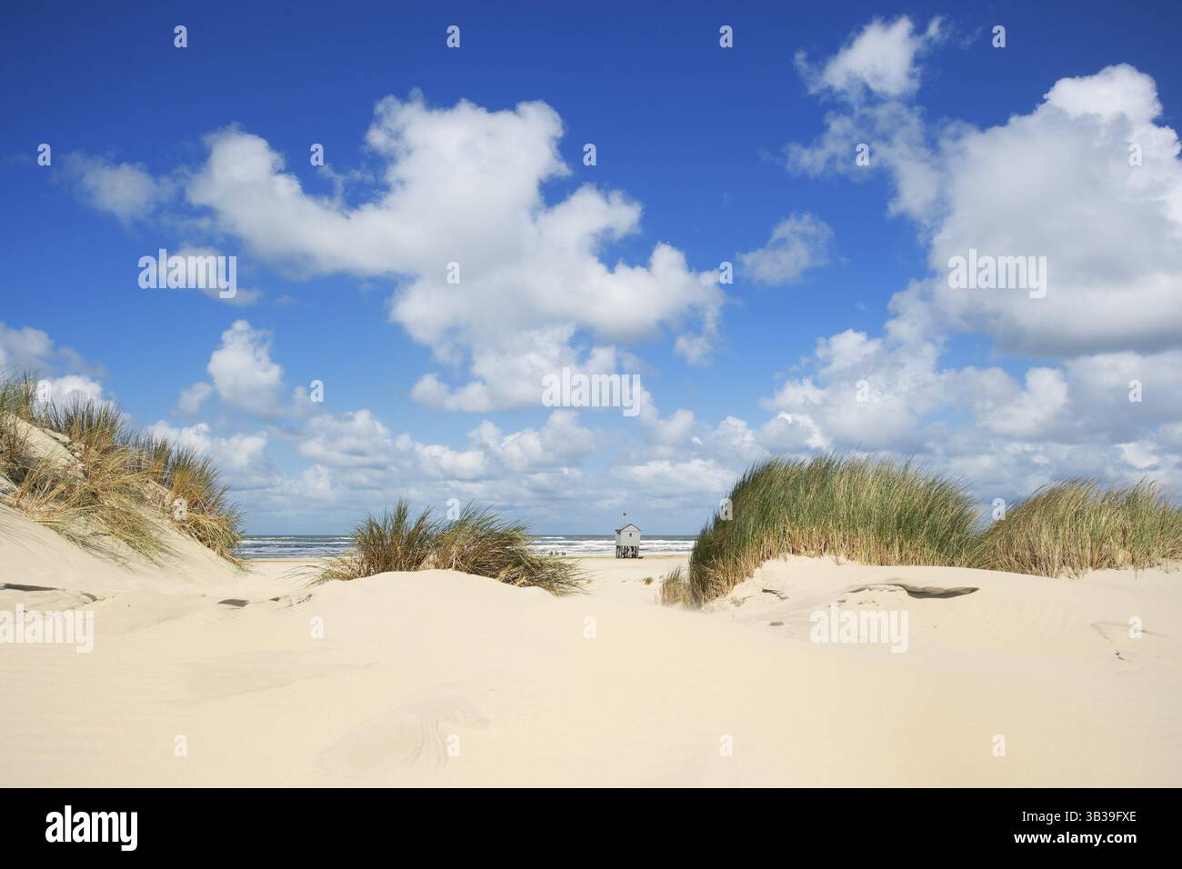 Drowning house at the beach from Dutch wadden island Terschelling Stock ...