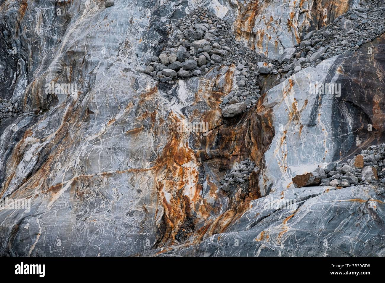 Vertical surface clinging hi-res stock photography and images - Alamy