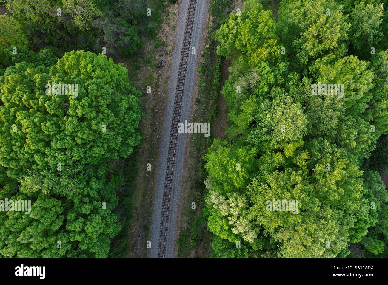 Top down view of railroad tracks surrounded by dense tree growth Stock ...