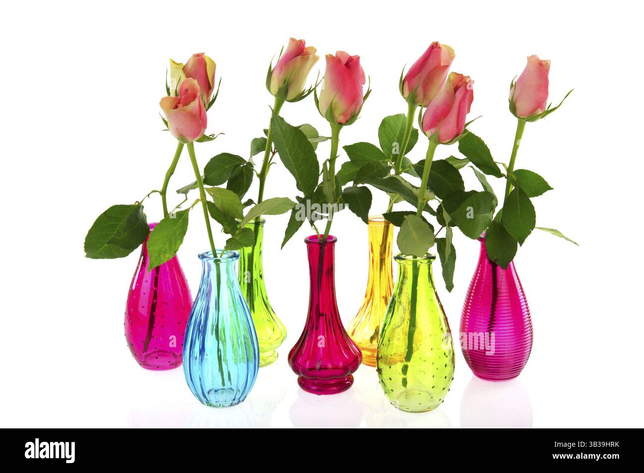 Colorful glass vases with pink roses isolated over white background ...