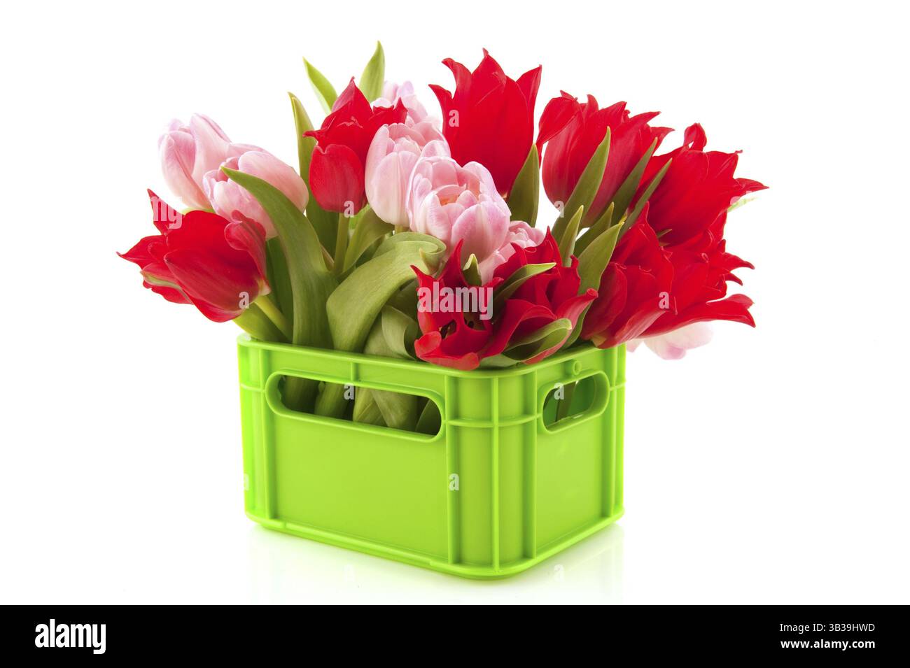Bright tulips in full Cut Out Stock Images & Pictures - Alamy