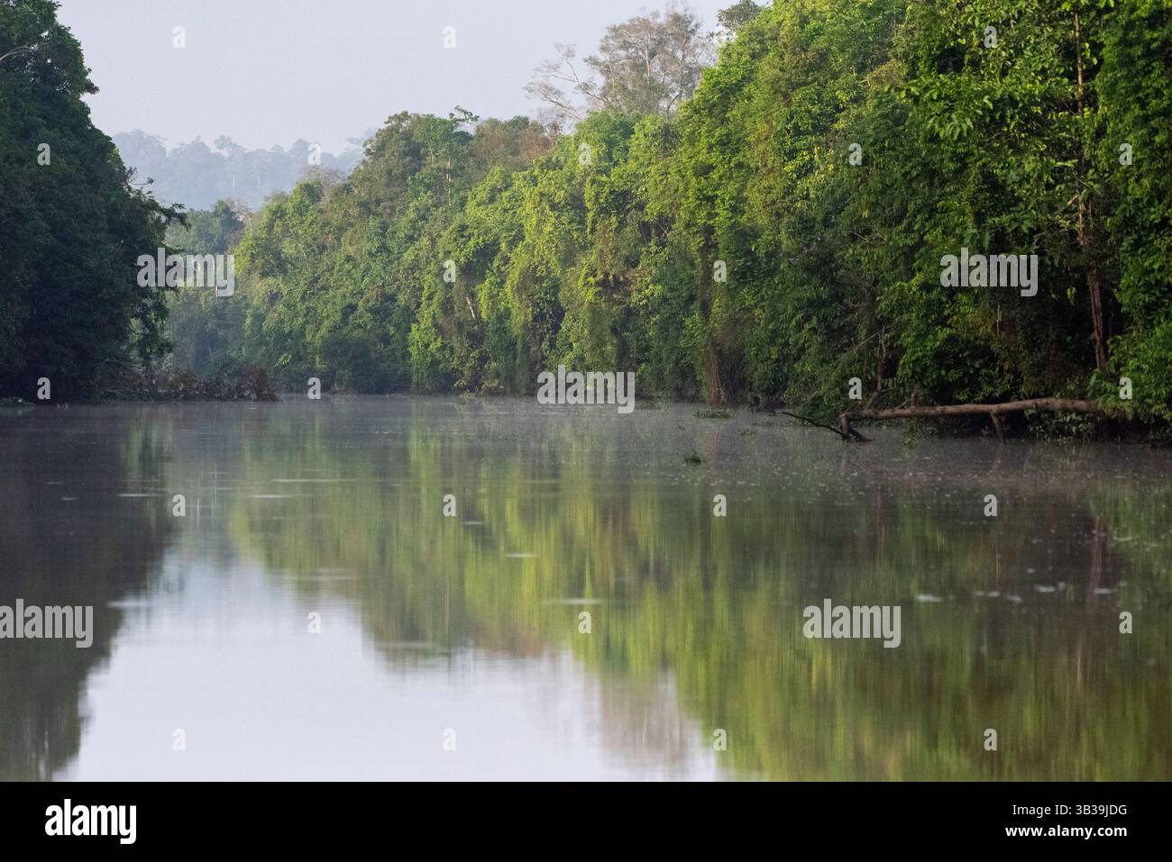 Kinabatangan River, Sabah, Malaysia Stock Photo - Alamy