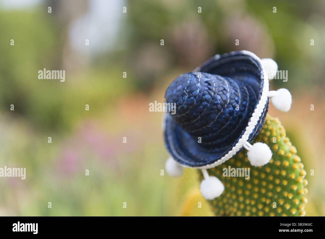 Spanish cactus with typical Sombrero on top Stock Photo - Alamy