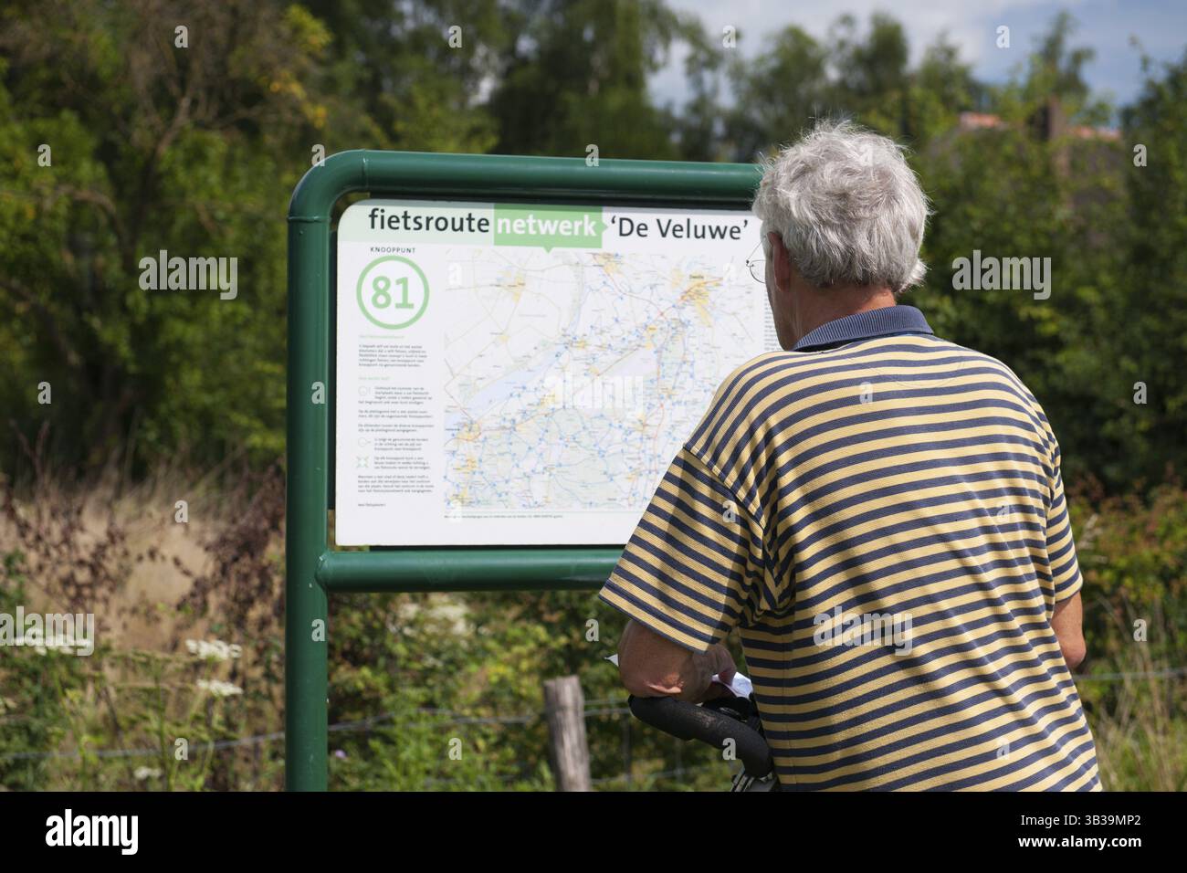 Elderly Biker is reading the Dutch map with nodes Stock Photo - Alamy