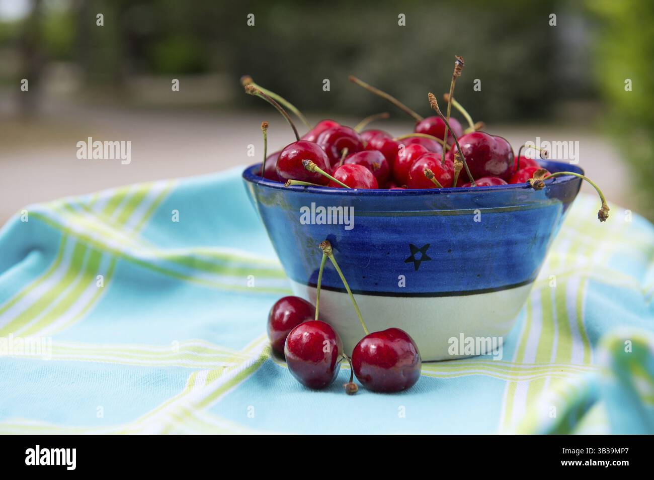 Bowl full fresh cherries outdoor Stock Photo - Alamy