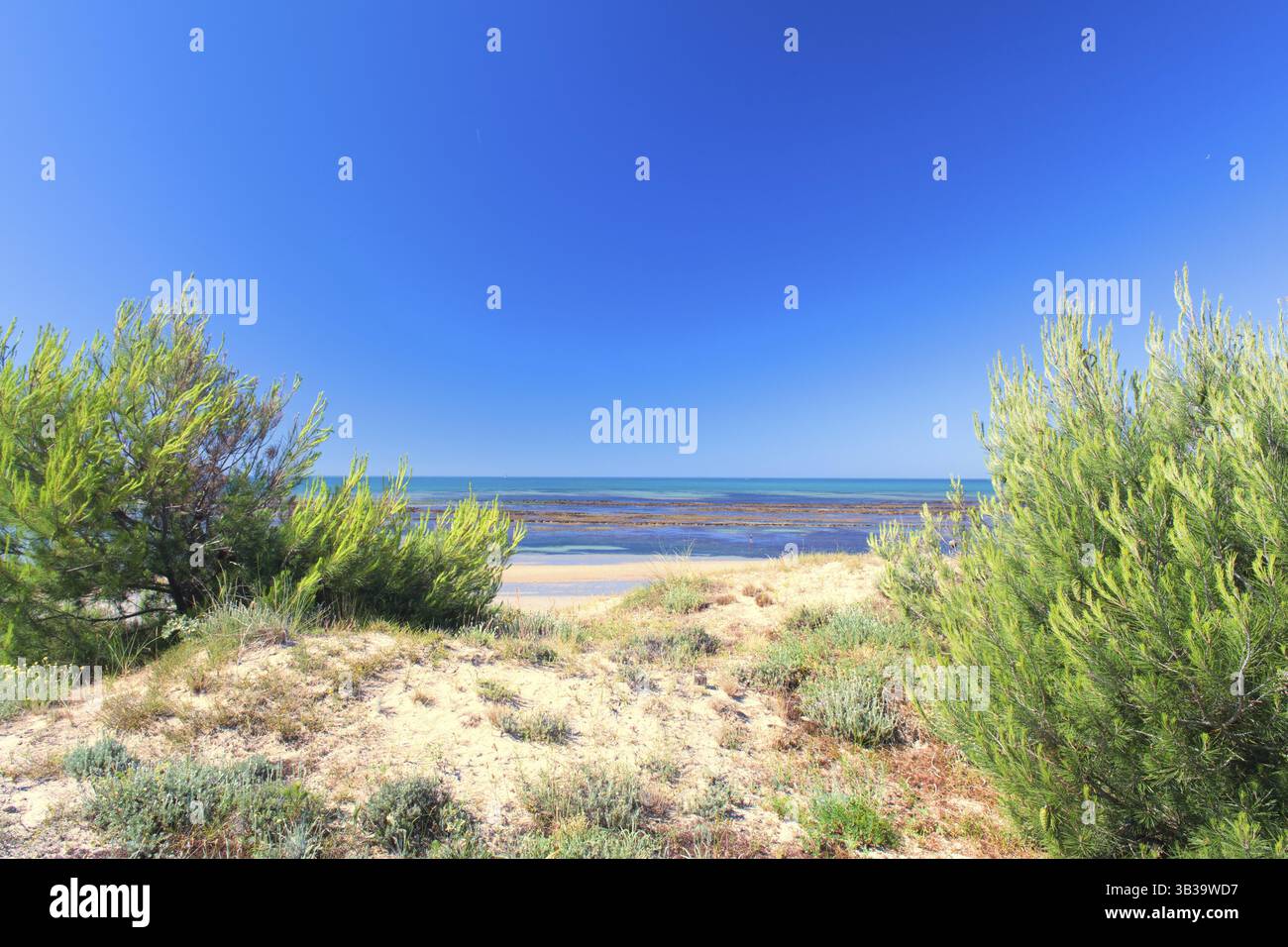 Ile de Re - Beach cart at La Couarde sur mer Stock Photo - Alamy