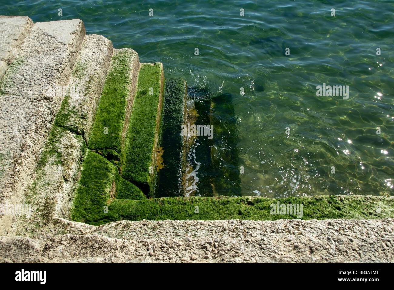 Stone steps covered in green algae lead into clear ocean water with ...
