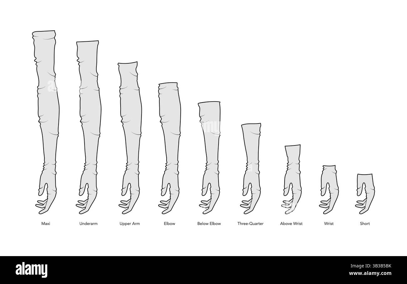 Set of Loose Gloves Length Chart diagram with name text cartoon Elbow ...