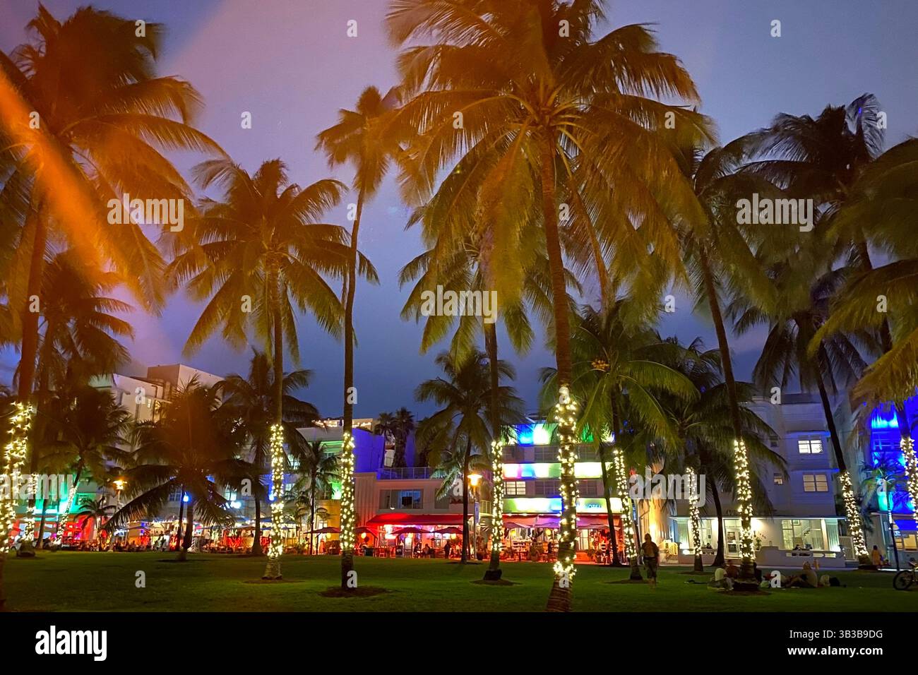 Ocean Drive Miami night view with cars lights palm trees and hotels ...