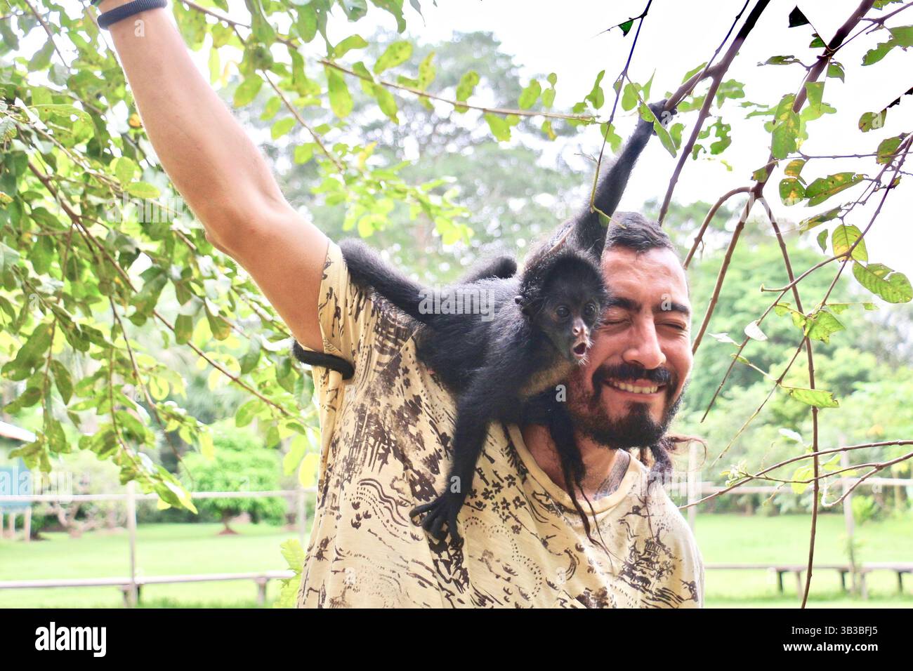 March 25, 2017 - Iquitos, Peru - Monkey on man's shoulder at La Isla De ...
