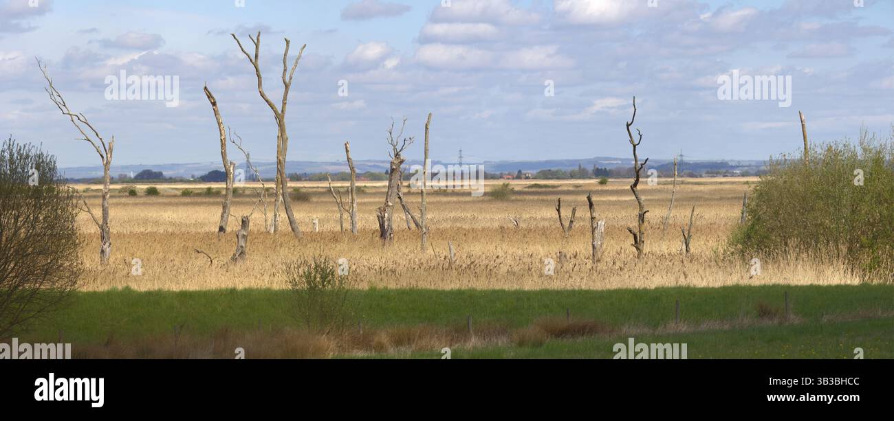 Alkborough Flats, located at the confluence of the Humber and Trent ...