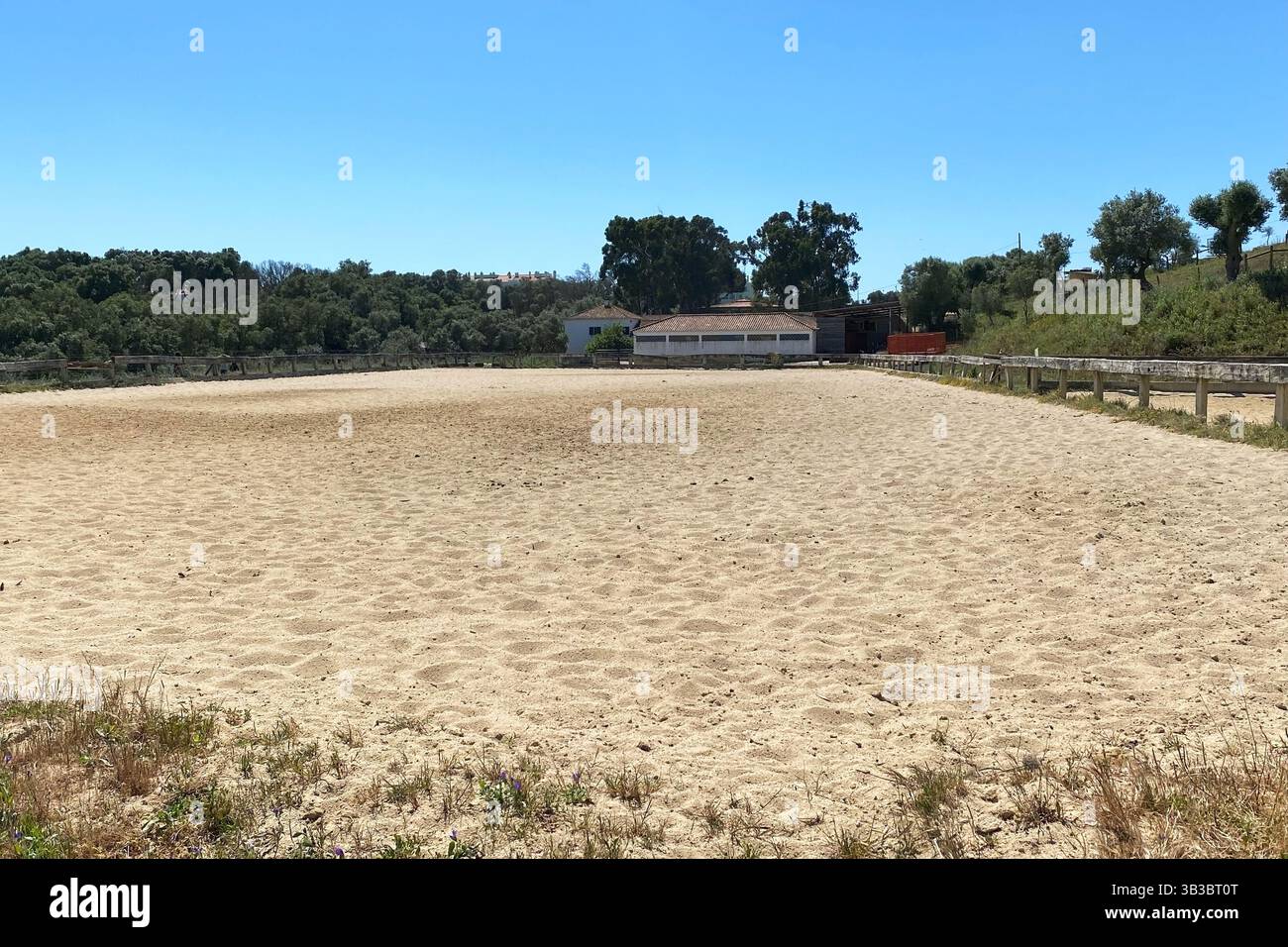 A large arena with sand for horses, stable paddock with sand, training ...