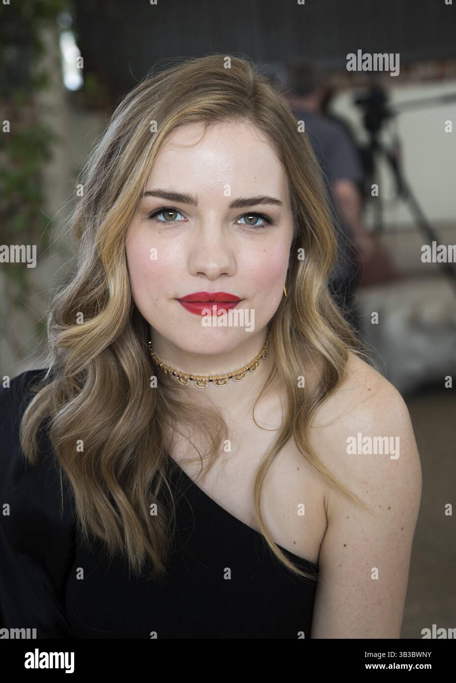 January 17, 2018 - Hollywood, California, U.S. - Actress WILLA ...