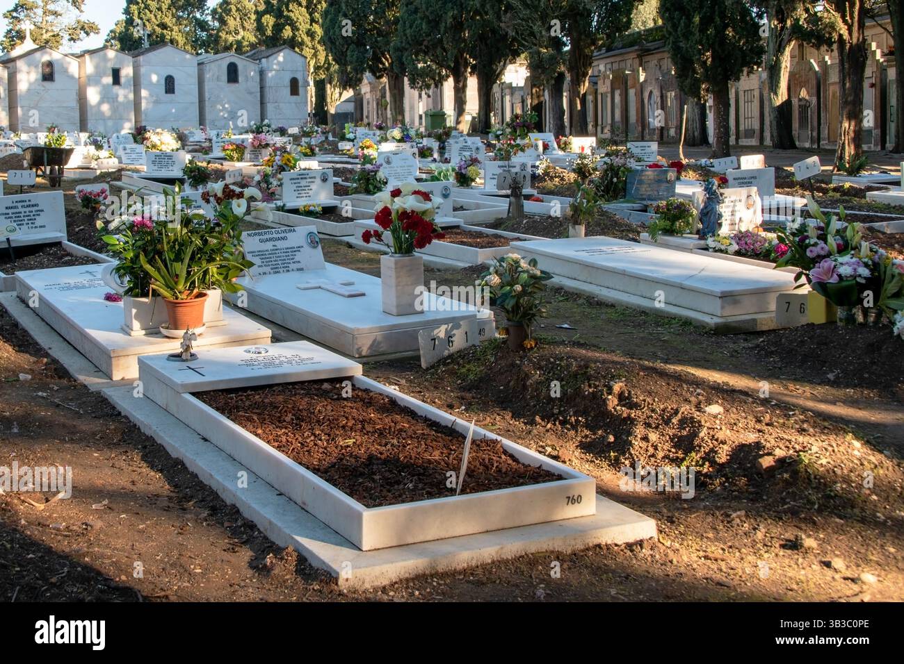 Stone burial vault with antique graves in deserted cemetery Stock Photo ...