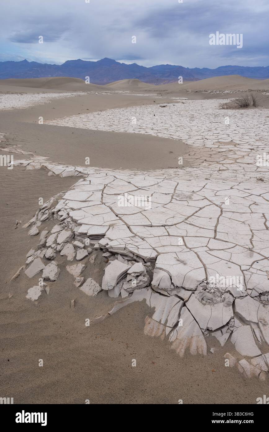 Drought pattern in mud flat hi-res stock photography and images - Alamy