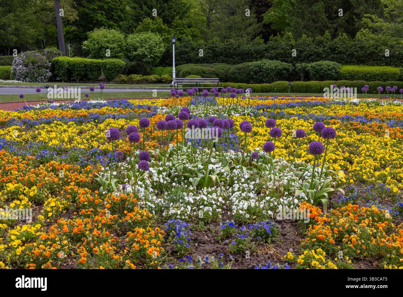 Flowers in springtime at the front of The Greenbrier, America’s Resort ...