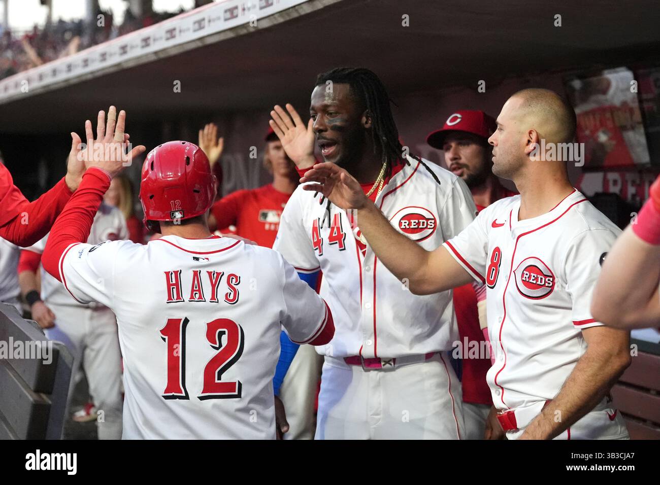 Cincinnati Reds' Austin Hays (12) is congratulated in the dugout by ...