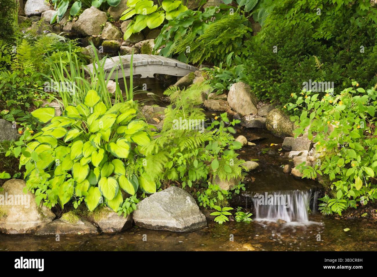 Grey wooden footbridge over man made creek with cascading waterfall ...