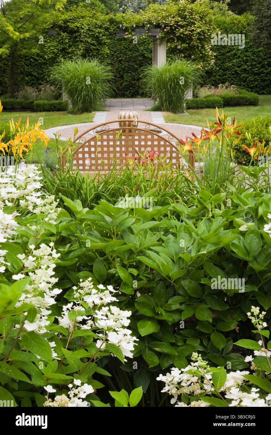 White Hydrangeas paniculata ‘Quick Fire’ with orange and red ...