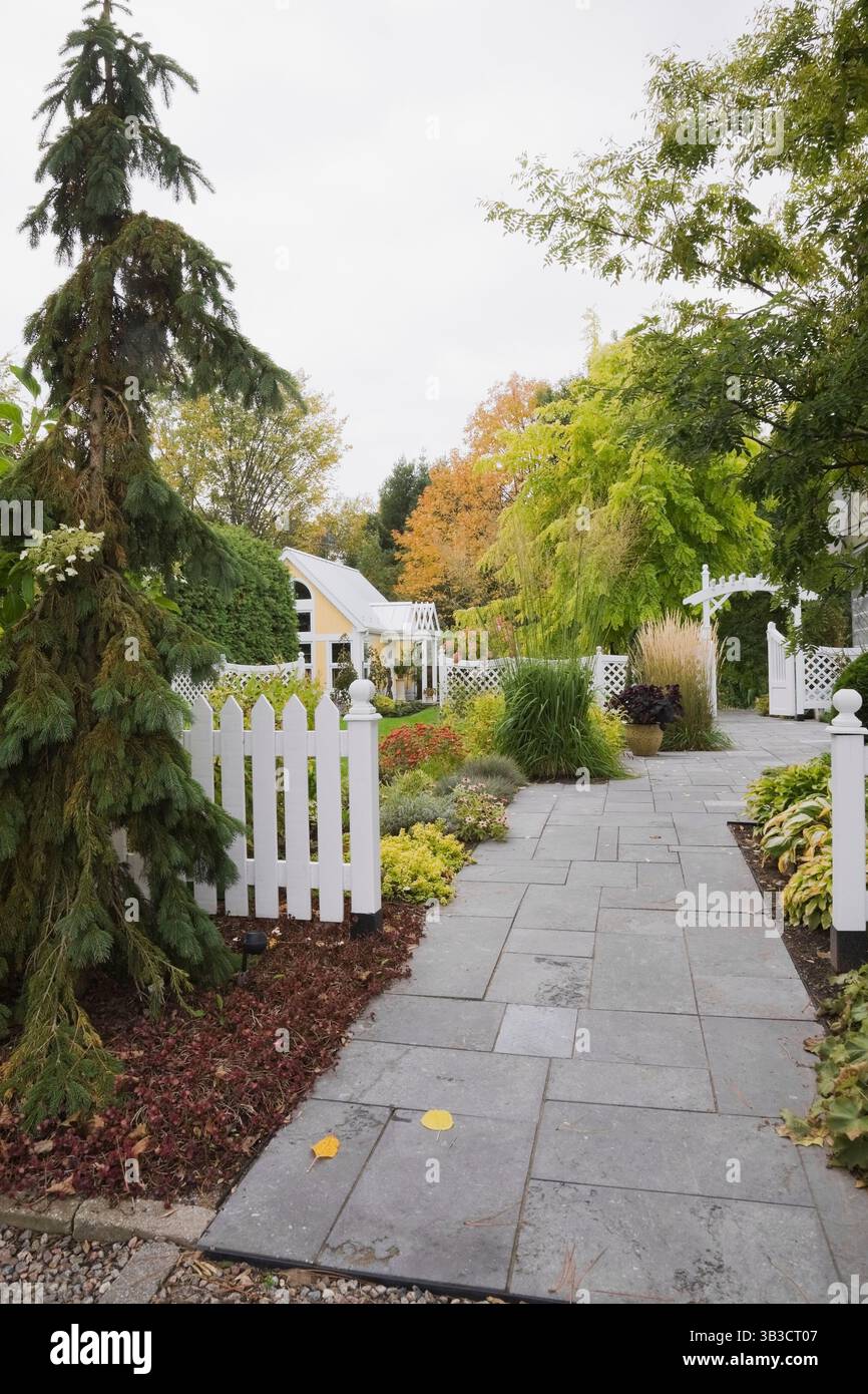 Grey flagstone path bordered by Sedum spurium 'Silberspinne' - Purple ...