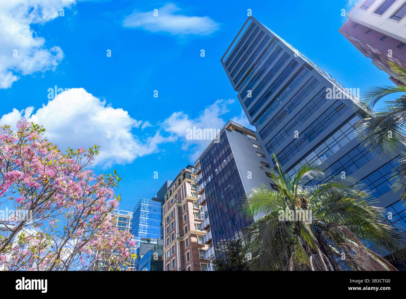 Quito, Ecuador. Carolina Park modern architecture in Quito central ...