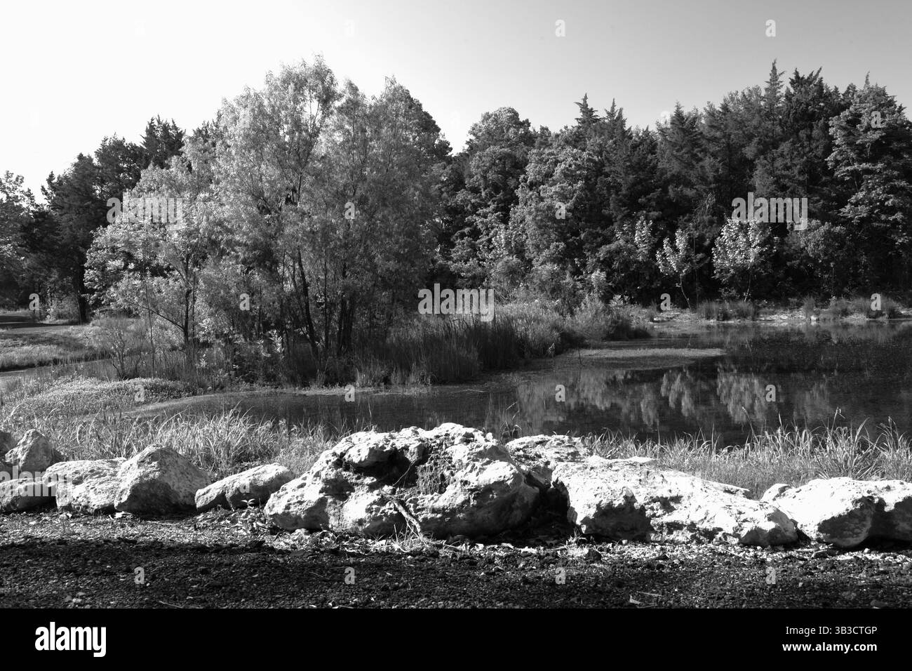 An island in the quarry Stock Photo - Alamy