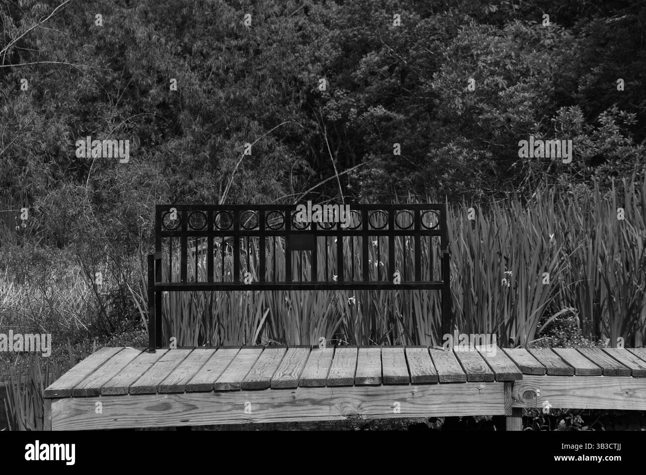 Place for flowers Black and White Stock Photos & Images - Alamy