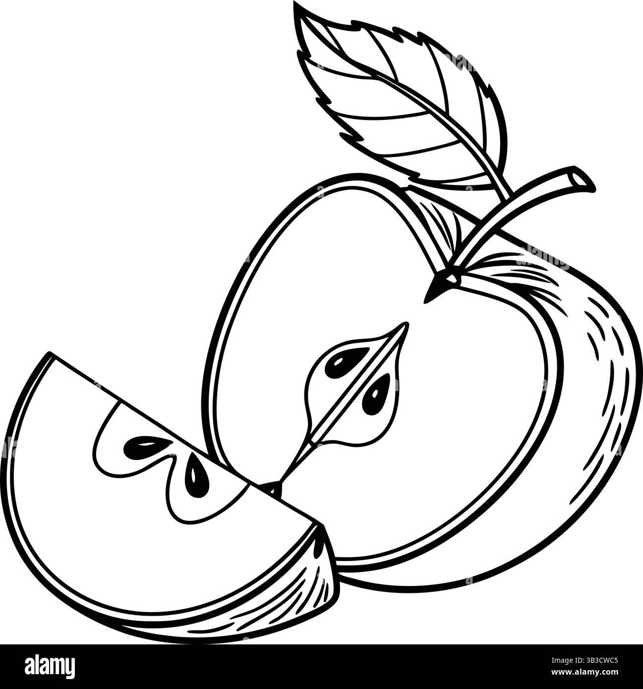 Apple Line Art Vector Set Outline Fruit Icons for Design SVG Coloring ...