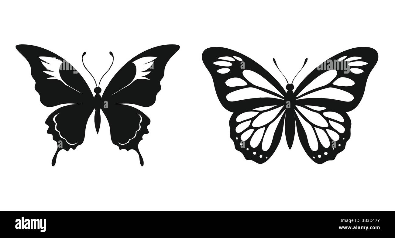 Butterfly Silhouette Pair – Distinct Wing Shapes and Patterns in ...