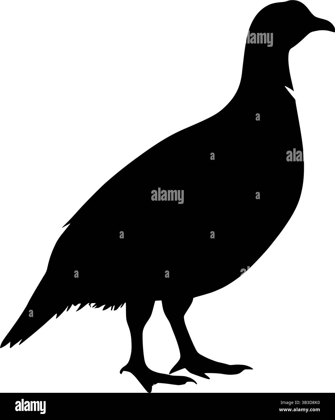 Black francolin silhouette vector illustration bird art wildlife fowl ...