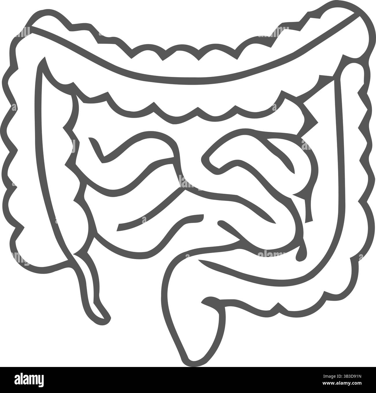 Human body diagram digestive hi-res stock photography and images - Alamy