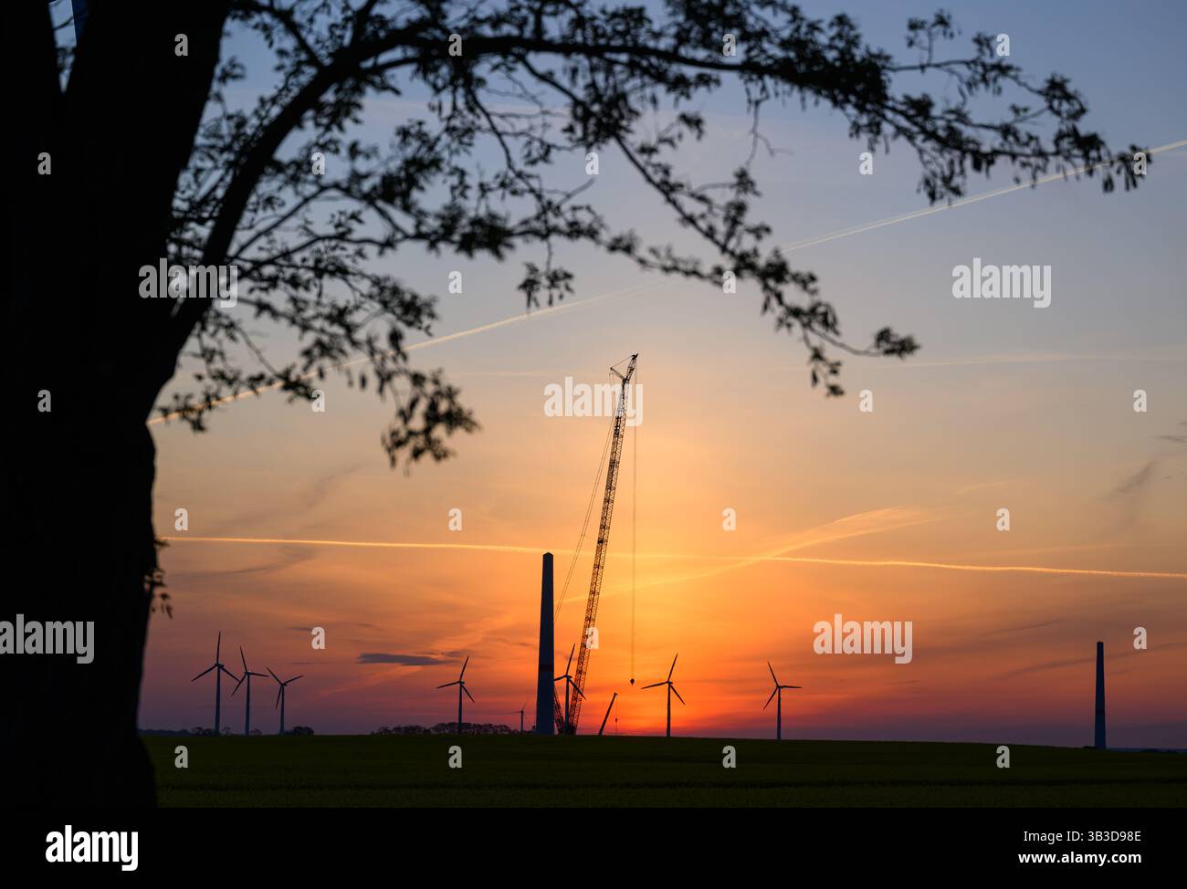 Lebus, Germany. 29th Apr, 2025. The sunrise shines over the landscape ...