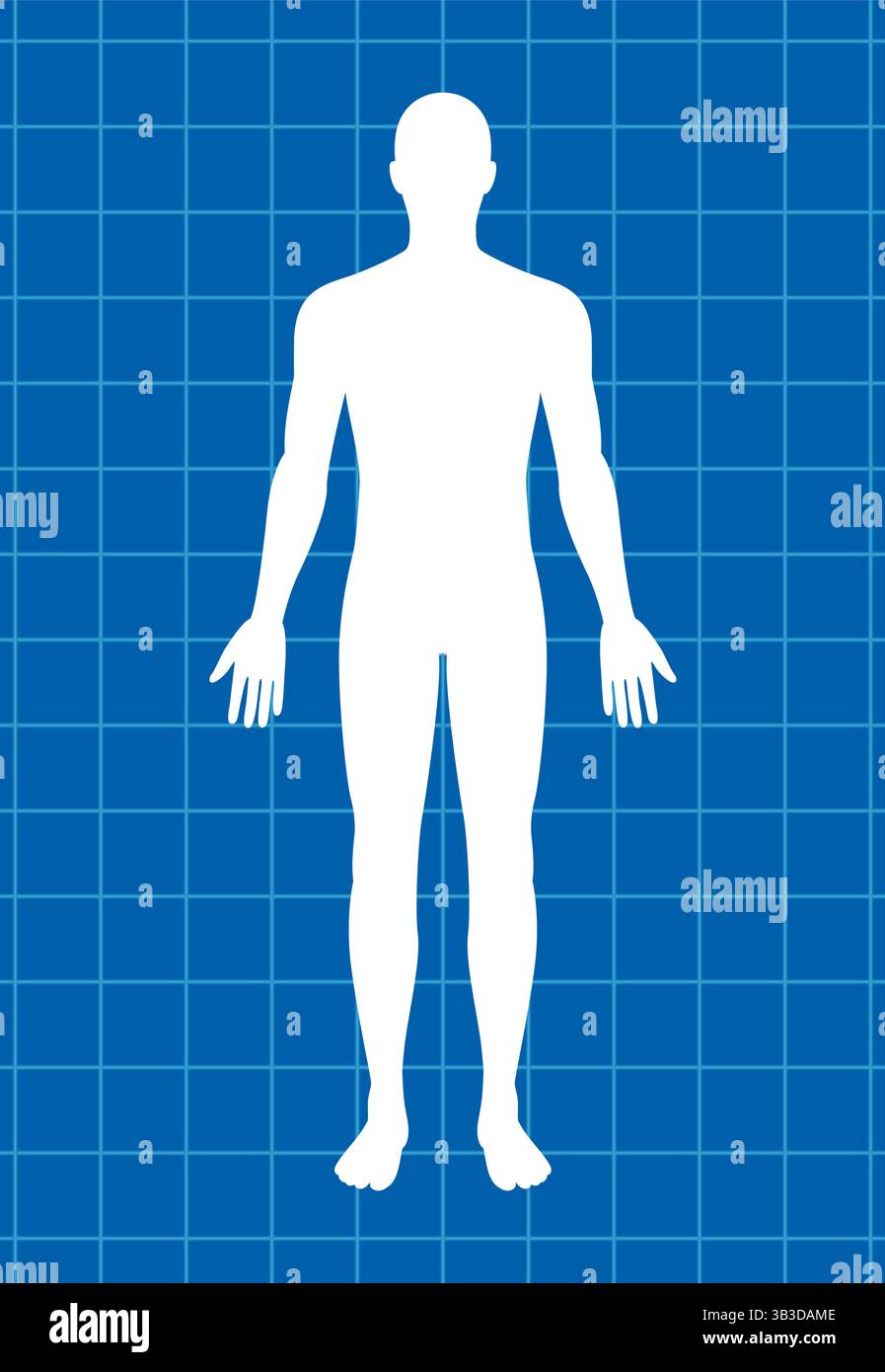 Vector illustration of a human silhouette on a blue grid background ...