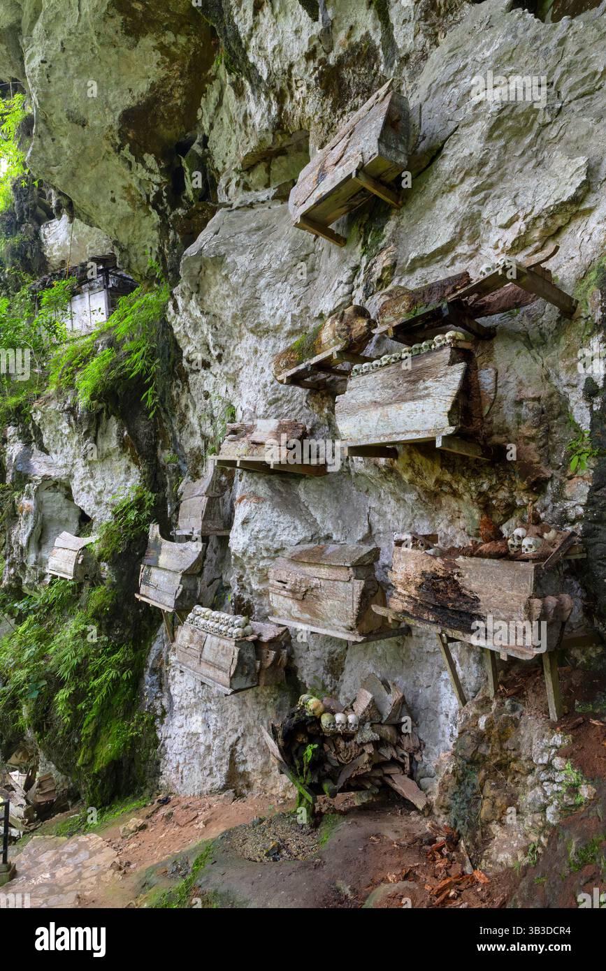 Sarcophagi placed on a rock at Traditional Toraja burial site at Ke'te ...