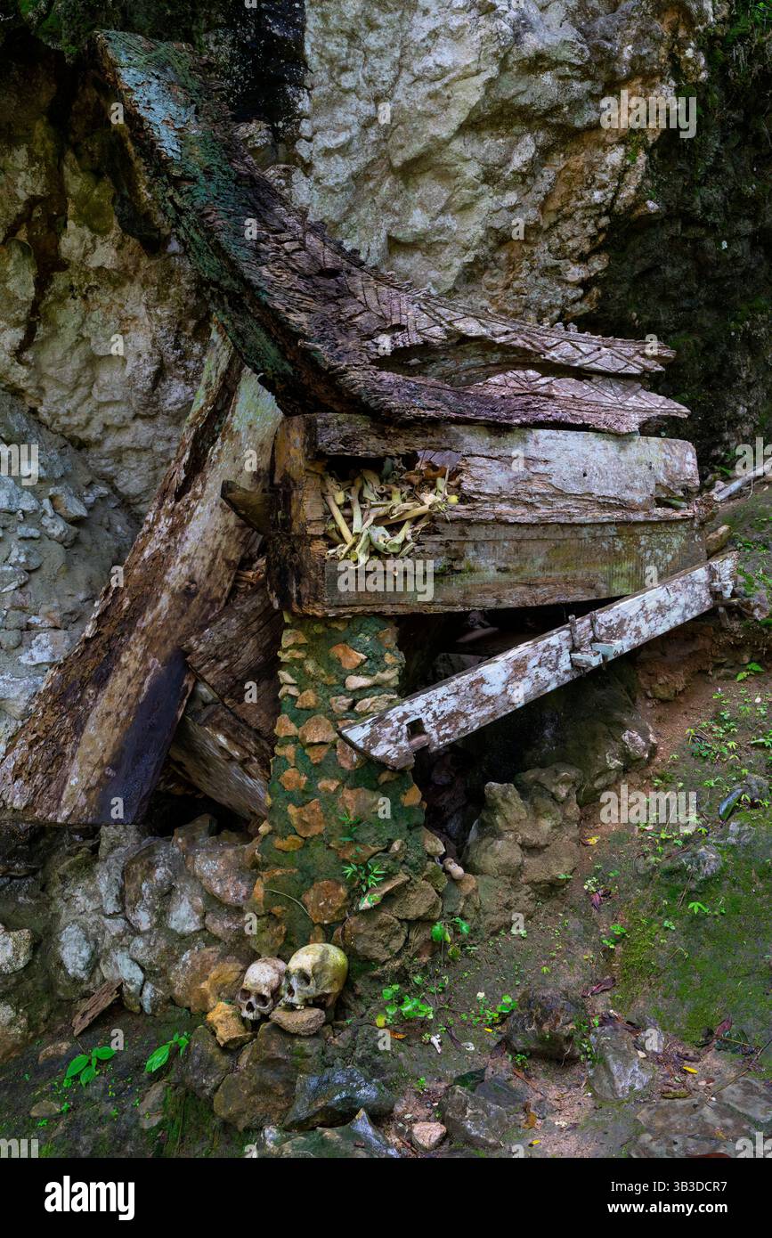 Sarcophagi placed on a rock at Traditional Toraja burial site at Ke'te ...