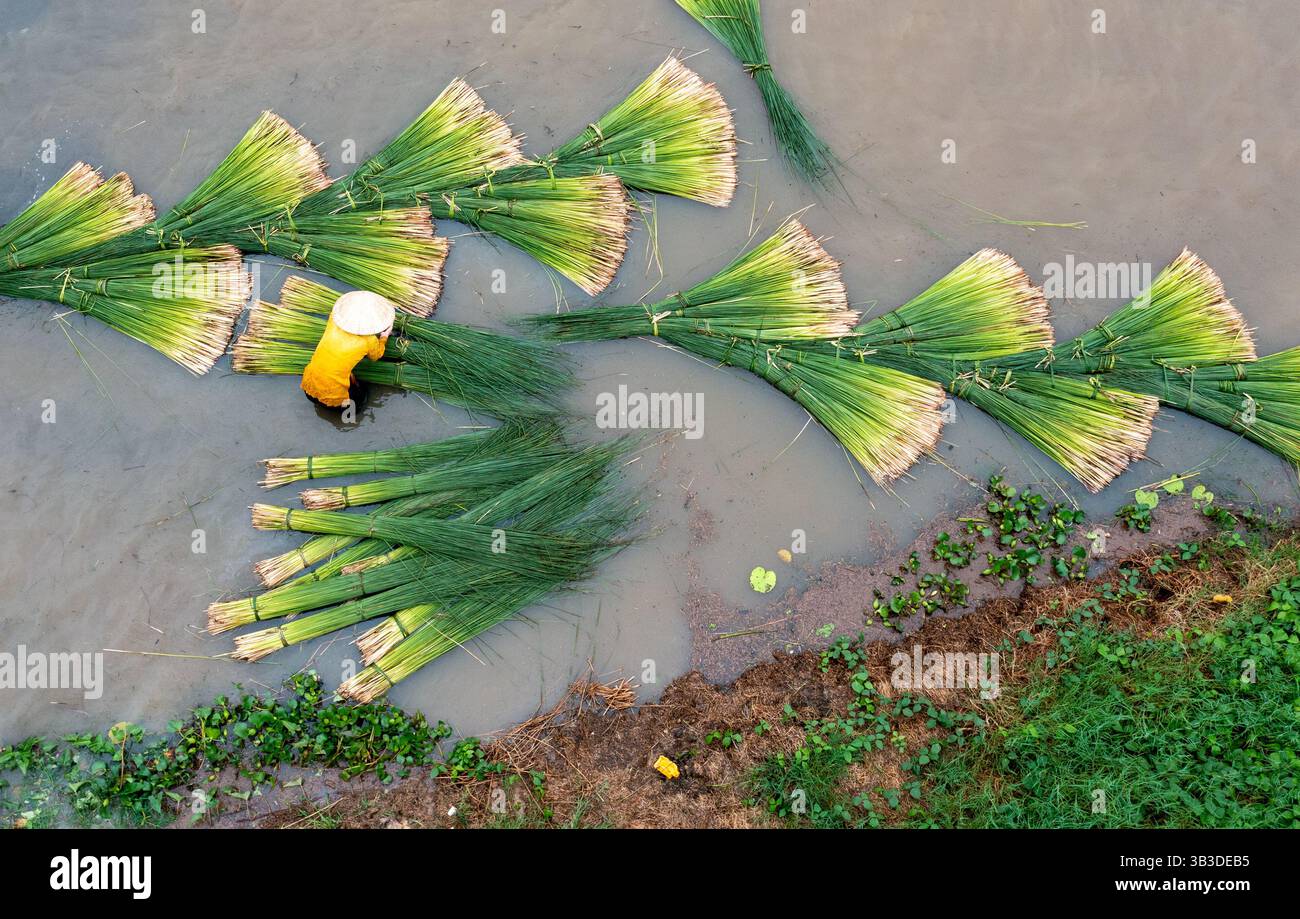 Rush material hi-res stock photography and images - Alamy