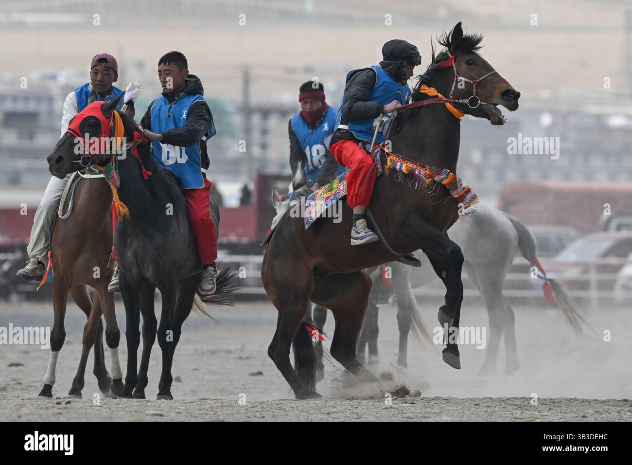 2025 dang jiren horse racing series hi-res stock photography and images ...