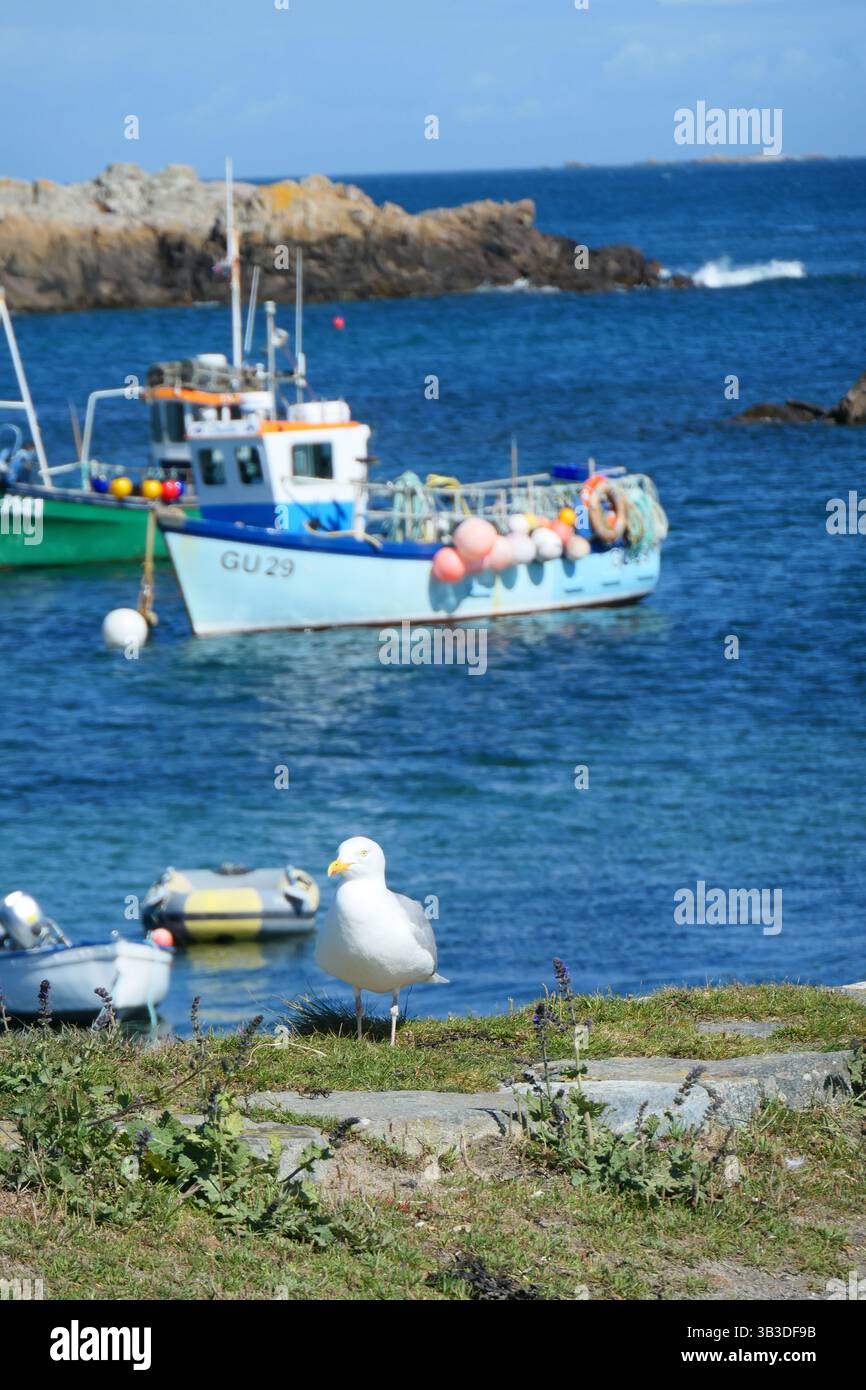 Ocean views coastal scenery port hi-res stock photography and images ...